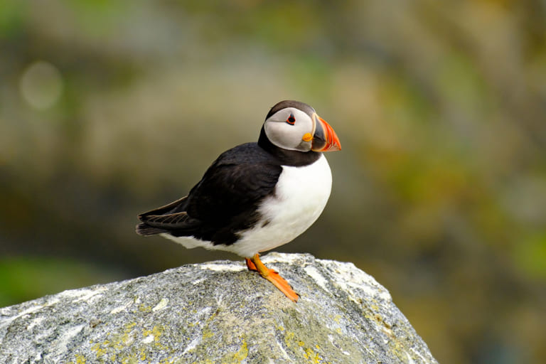 『X-E4』とGFXで撮る、スコットランドの旅風景〜加藤秀vol.3「スコットランドの離島を巡る」〜 | IRODORI by 富士フイルム Xシリーズ