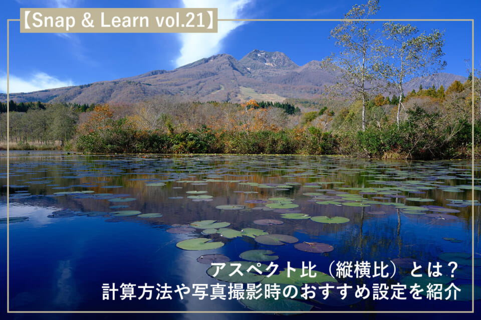 アスペクト比（縦横比）とは？計算方法や写真撮影時のおすすめ設定を紹介【Snap & Learn vol.21】 | IRODORI by 富士 ...