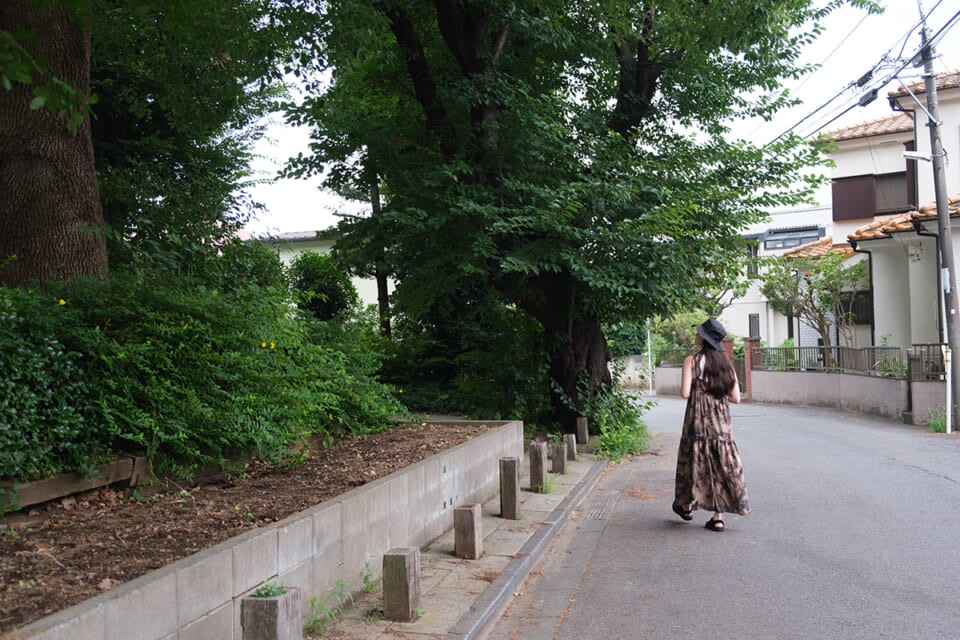 富士フイルムXシリーズとそぞろ歩き〜フィルムシミュレーション『PROVIA』と水と緑のまち・東久留米へ〜 | IRODORI by 富士フイルム Xシリーズ