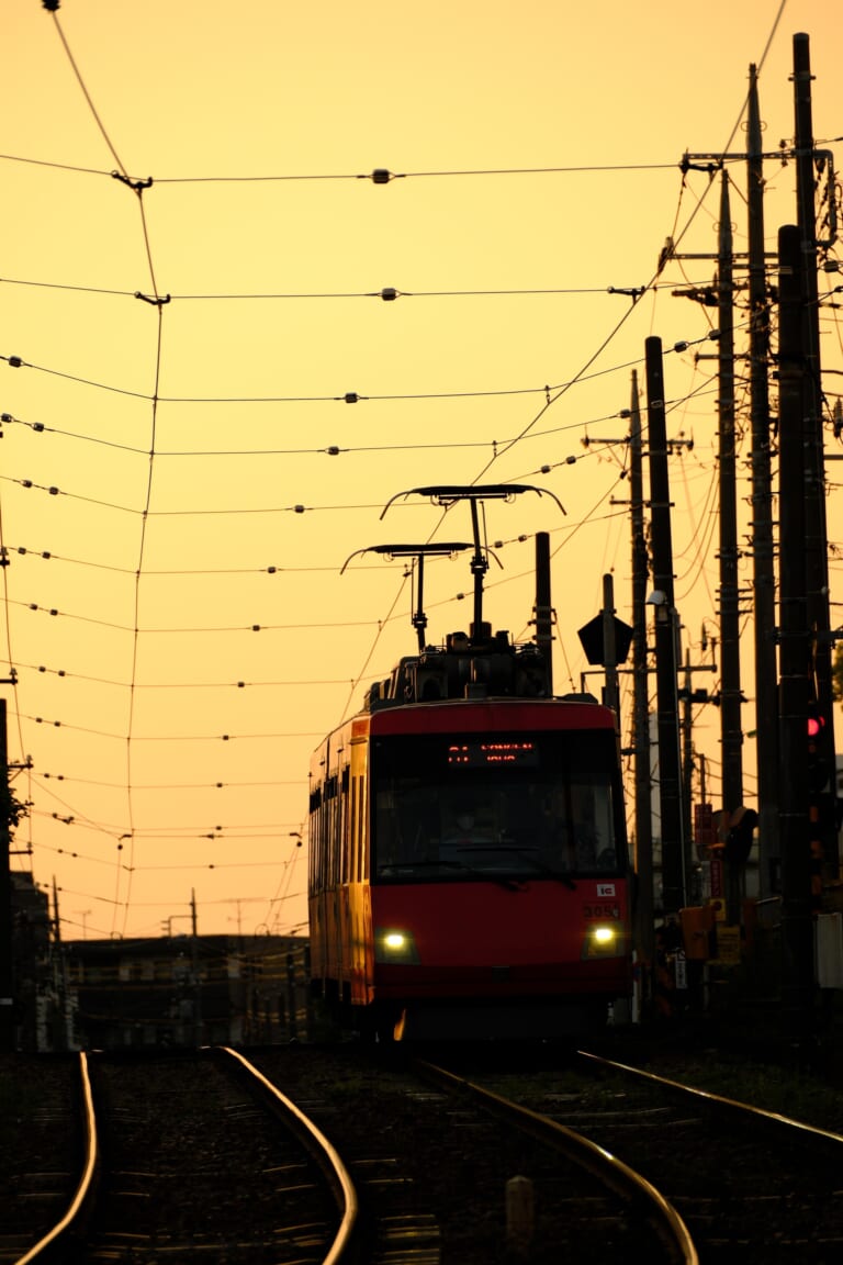 ホワイトバランスとは？設定・調整方法と表現の広げ方を解説【Snap & Learn vol.4】 | IRODORI by 富士フイルム Xシリーズ