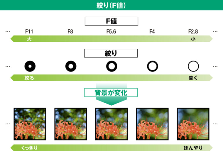 F値とボケ・明るさの関係を比較！写真の表現への活かし方も解説【Snap & Learn vol.5】 | IRODORI by 富士フイルム Xシリーズ